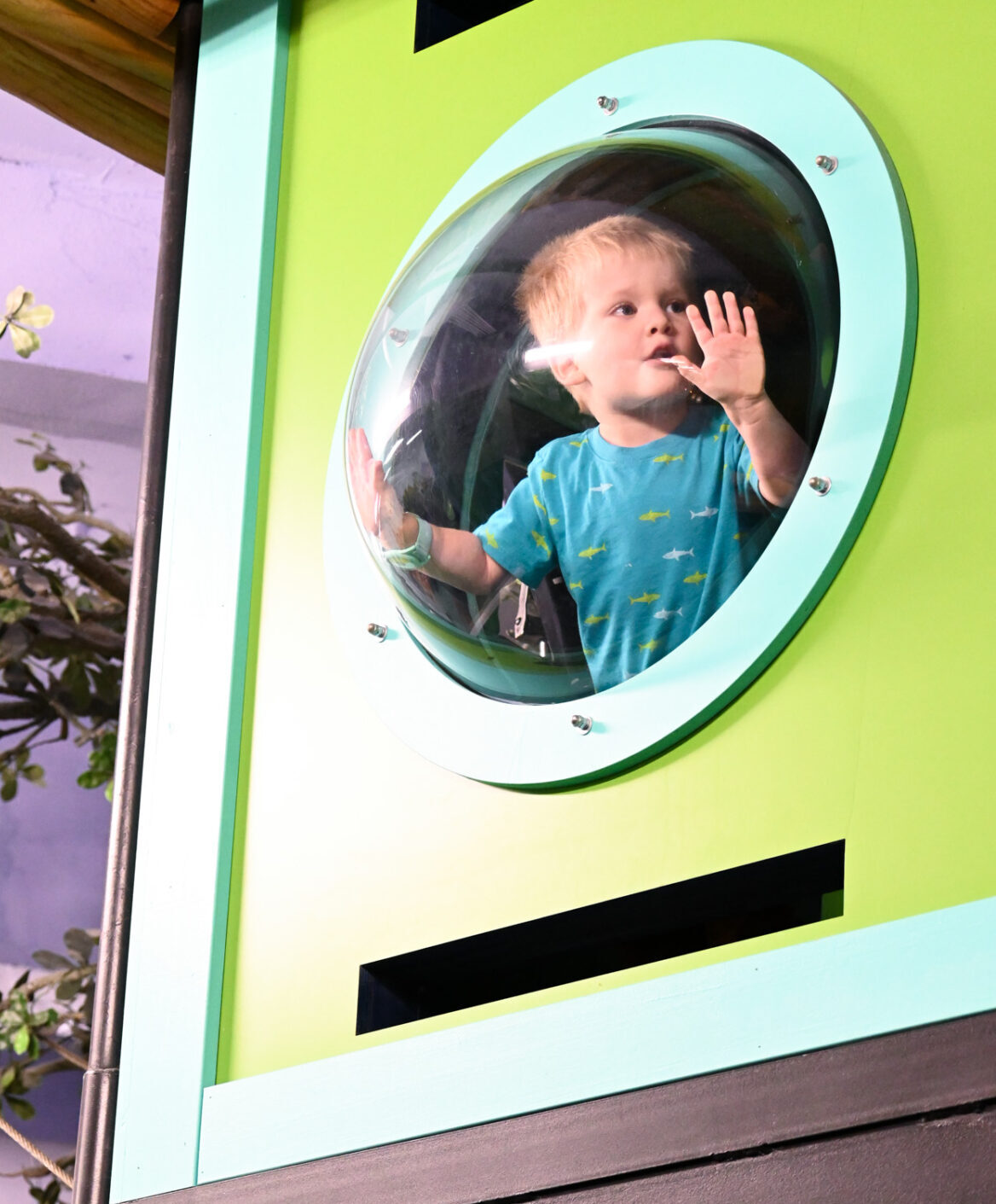 Building For Kids Children's Museum | Jr. Explorer Camps